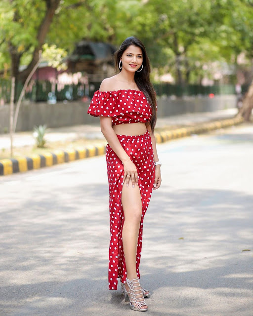 Saloni Mittal Biography, Boyfriend, Income, Unknown Facts