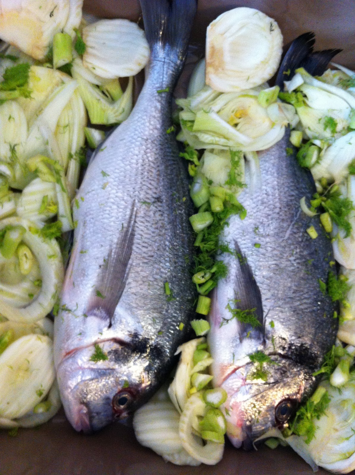 L´art de gourmet: Dorade mit Pastis flambiertem Fenchelgemüse