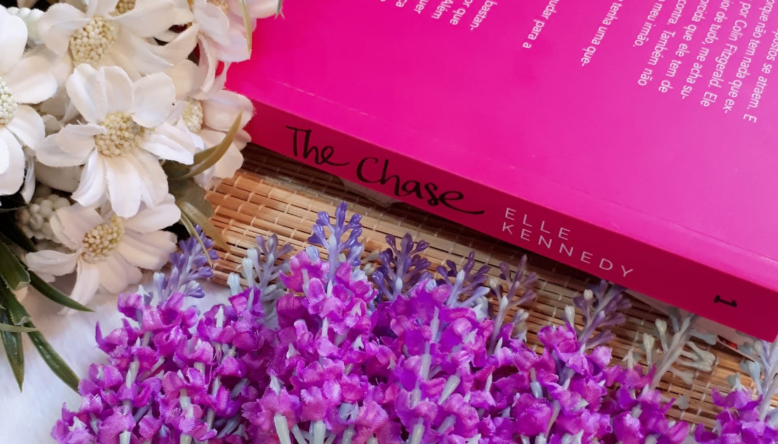 [Resenha] The Chase: A busca de Summer e Fitz | Dicas de Malu