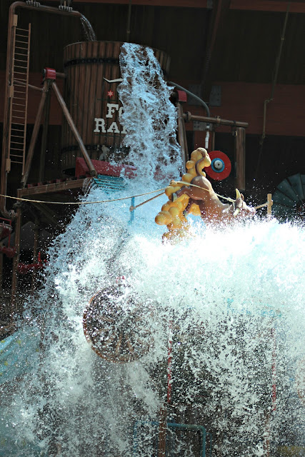 The FibroFrog: Fort Rapids Indoor Waterpark and Resort Review