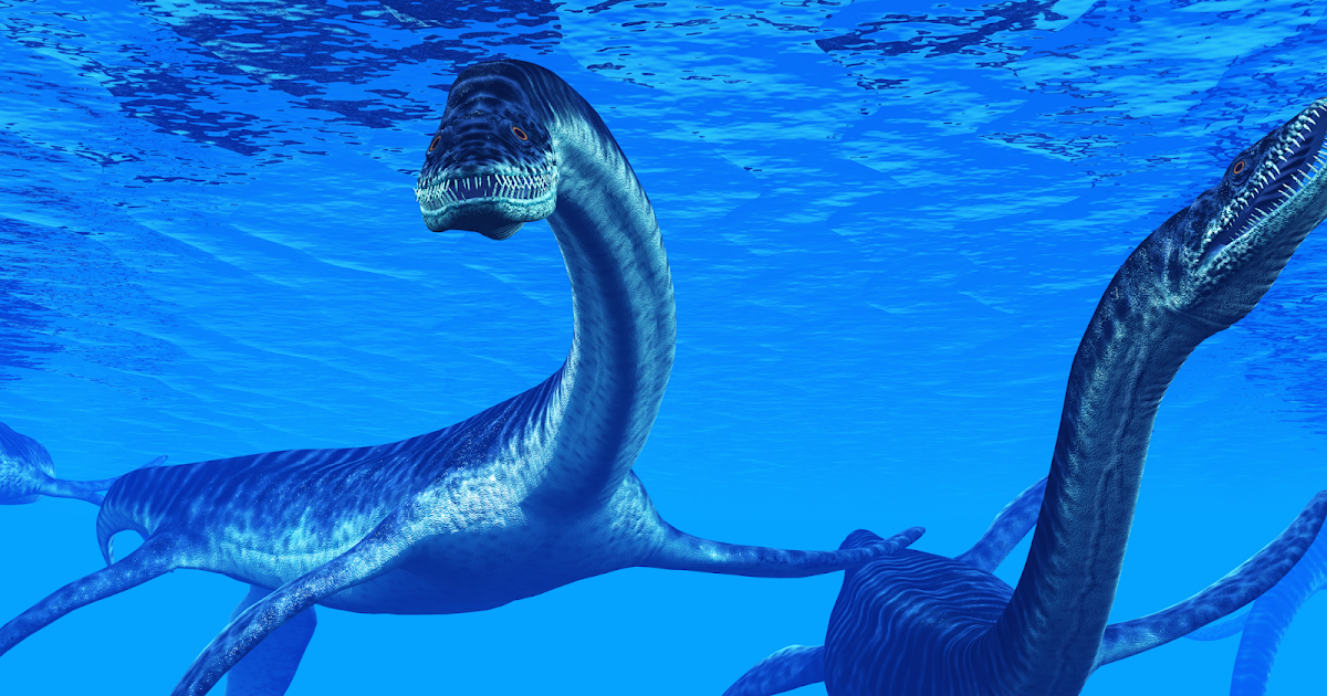 FOSSIL HUNTRESS: PUNTLEDGE ELASMOSAUR