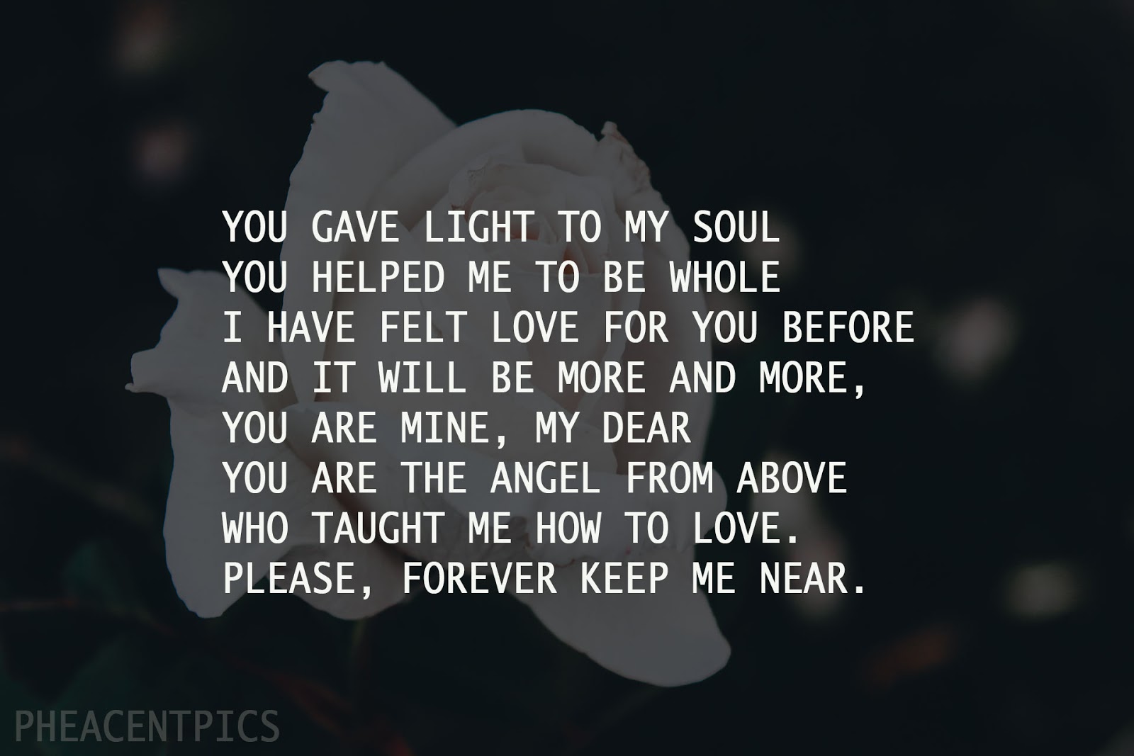 Beautifull english love poetry collection 2020