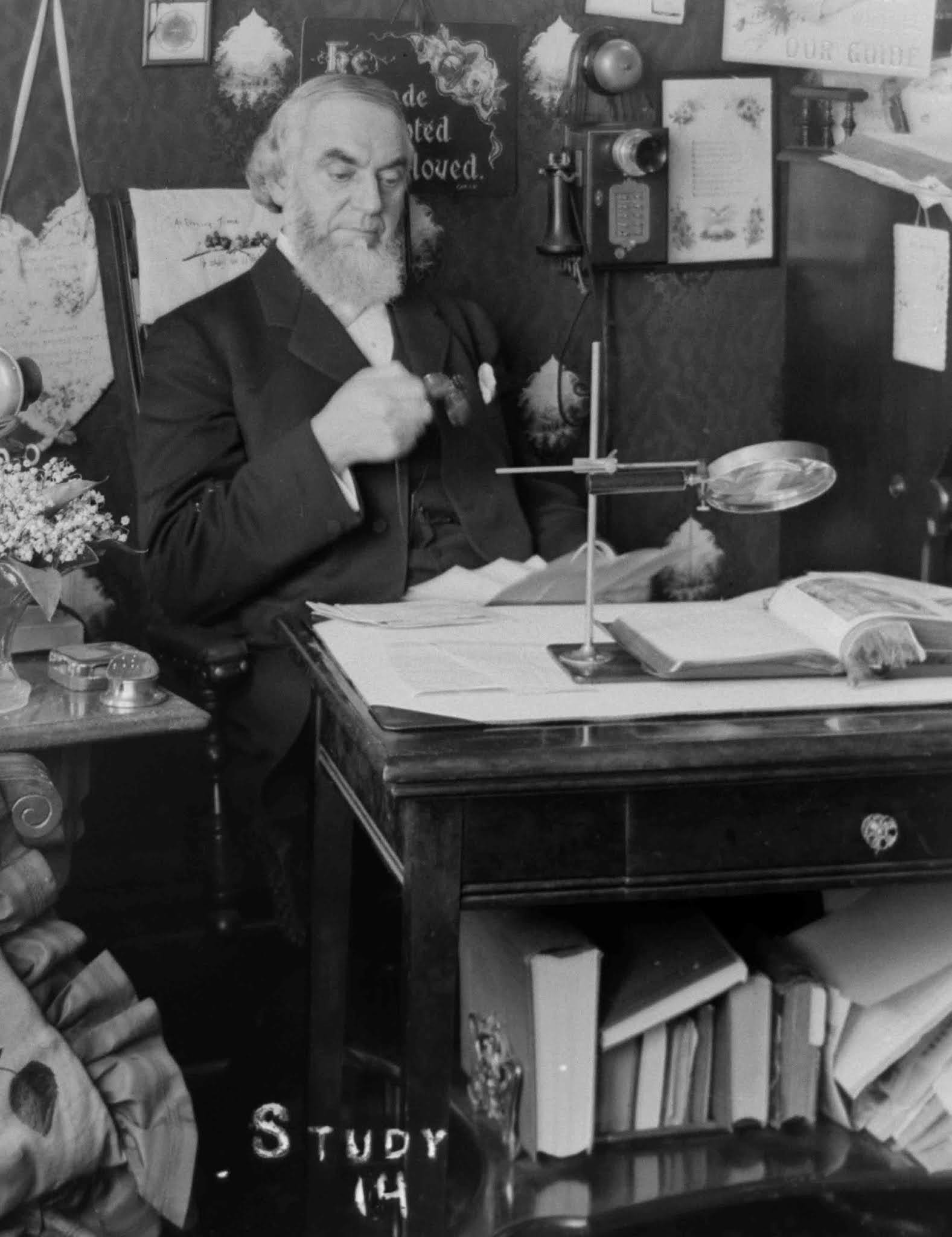 History and stuff: 2020