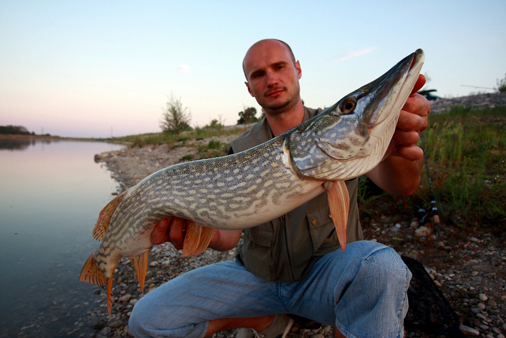 Fishing In Croatia (and in the neighbourhood): Monster pike long 107 cm ...