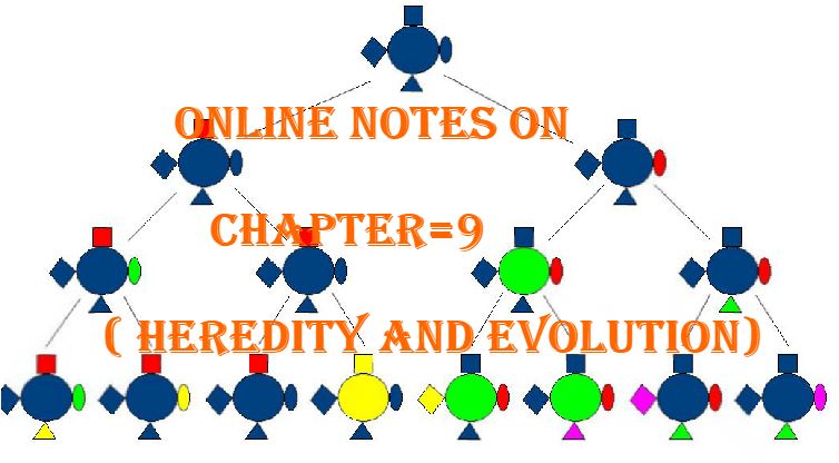 Online Notes on Chapter = 9 ( Heredity and Evolution) Part 3 ...