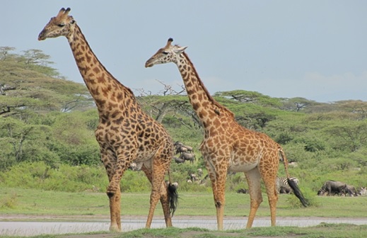 GEOGRAPHY: FORM THREE: Topic 6 - PHOTOGRAPH READING AND INTERPRETATION ...