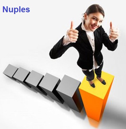 PREPARATORIA ABIERTA NUPLES (SEP): NUPLES: DESCRIPCIÓN DE NIVELES Y ...