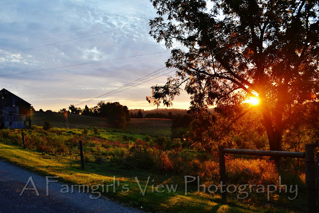 A Farmgirl's View: Pictures of Warmth: week 2 of the Poetic Winter ...