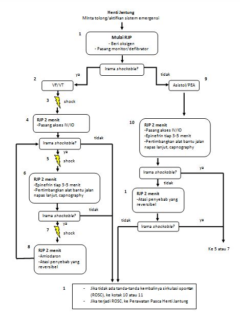 "DR HOKI" Blog Kedokteran: Catatan ACLS Terbaru (Bahasa Indonesia)