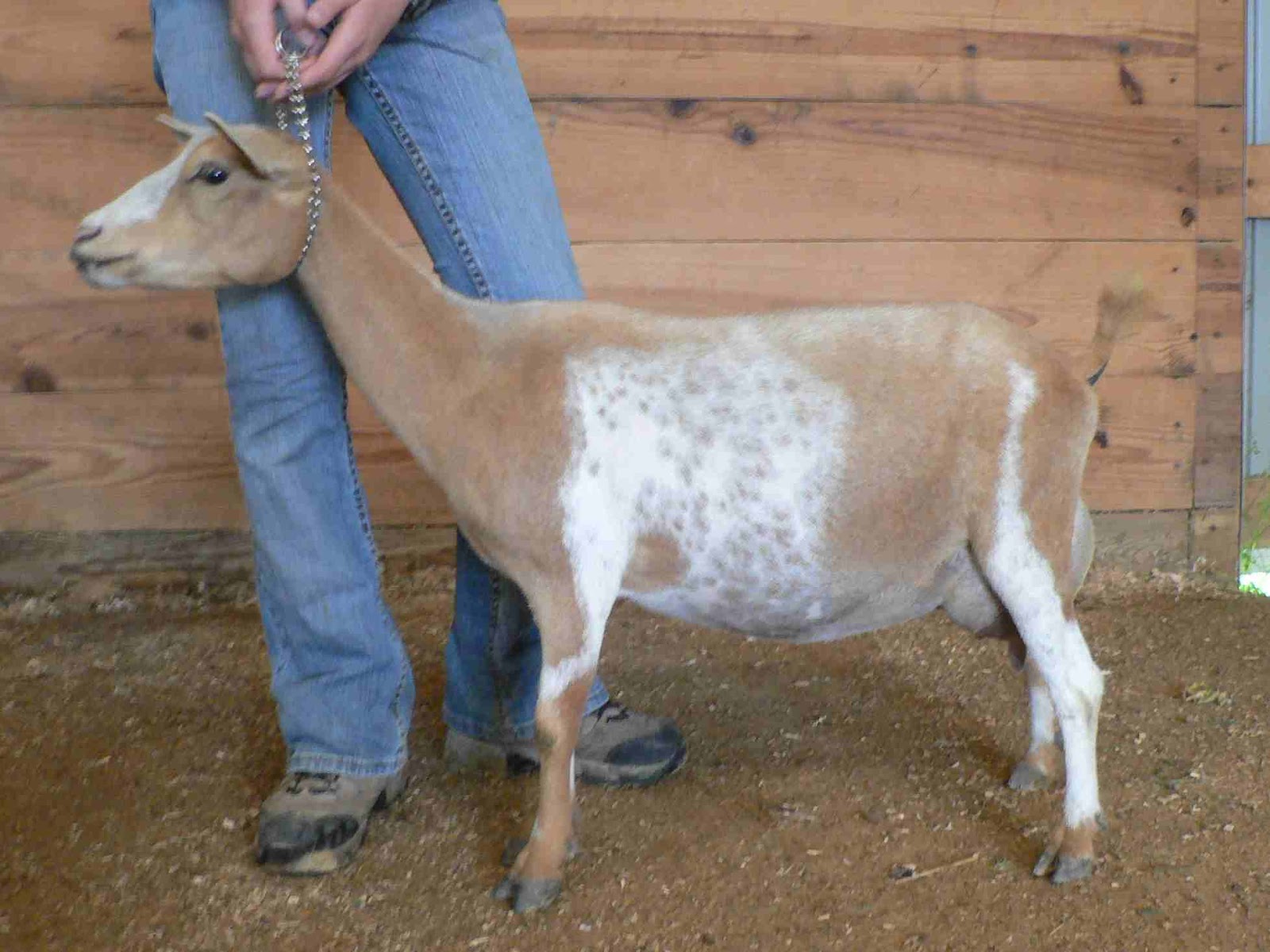 Antiquity Oaks: September 2013