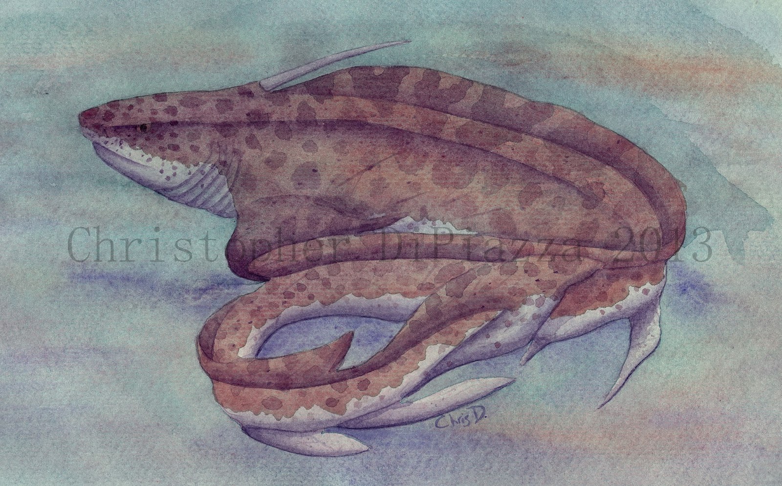 Prehistoric Beast of the Week: Orthacanthus: Prehistoric Animal of the Week