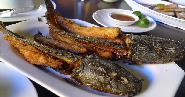 Crispy Hito | Yummy Recipes Everyday