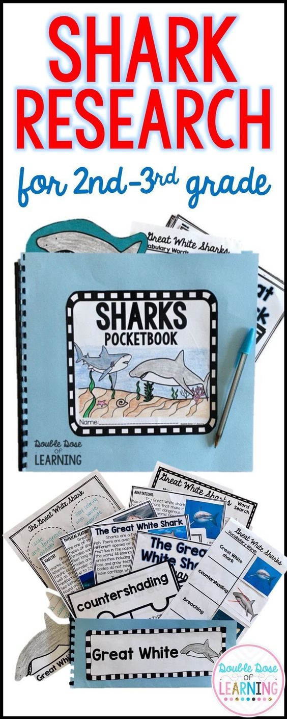 Shark Week Activities for Kids, Sharks Research for Elementary Students ...