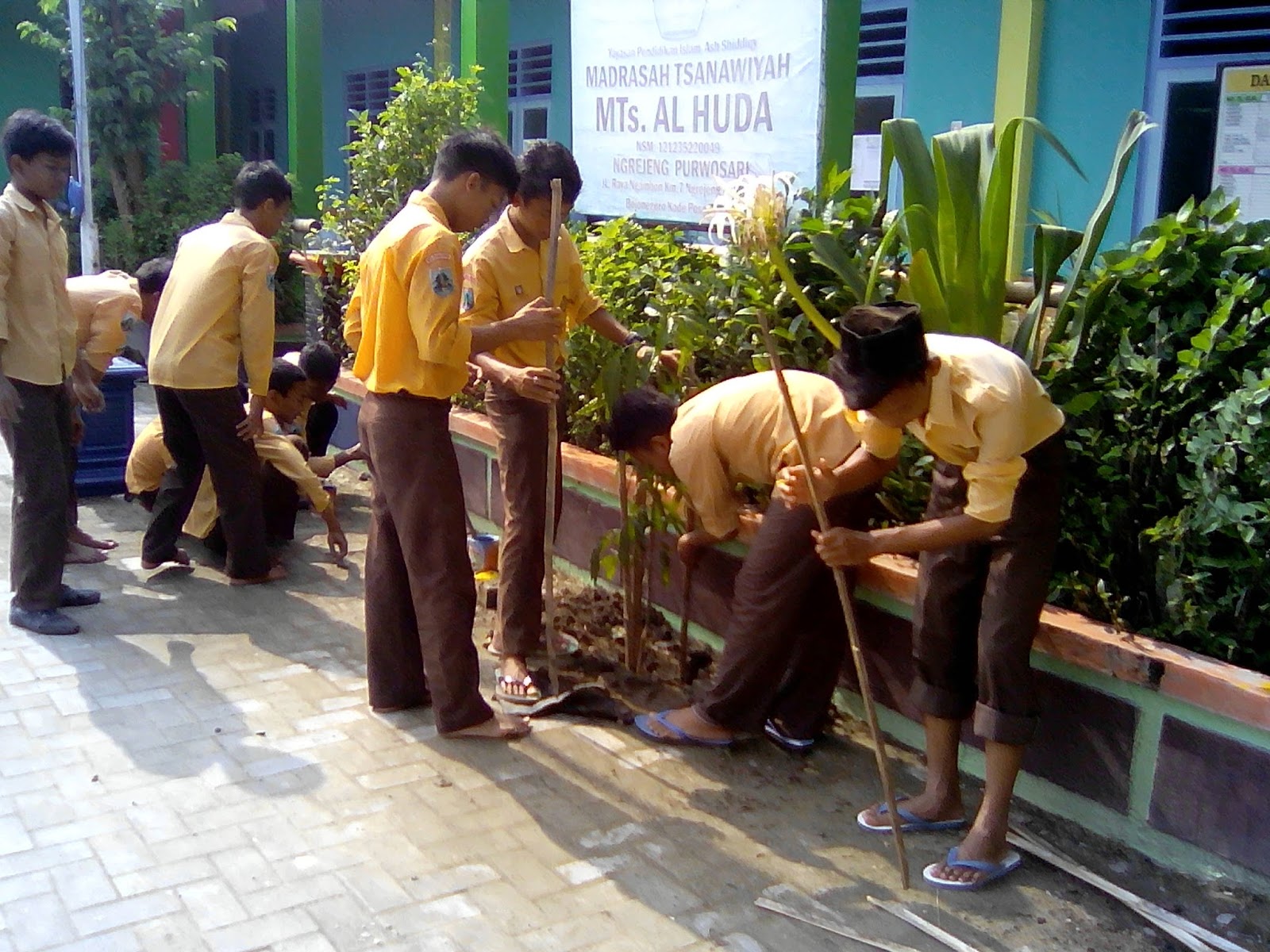 Tumbuhkan Budaya Siswa Menanam Pohon | YAYASAN ASH SHIDDIQY