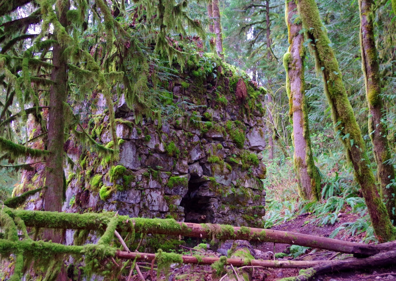 Pacific Northwest Seasons: Hiking the Cascade Foothills: Lime Kiln Trail