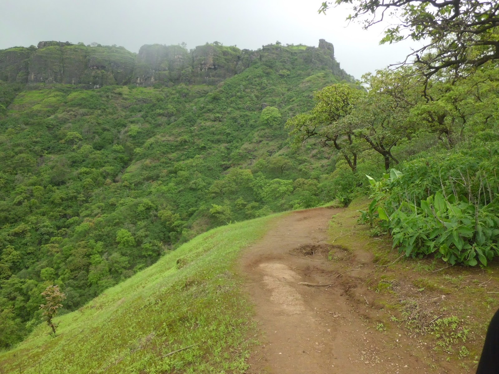 TREK TRAILS: TREK TO MAHULI FORT: The one with the highest altitude in ...
