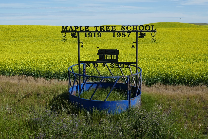 Past Presence: Maple Tree School Sign