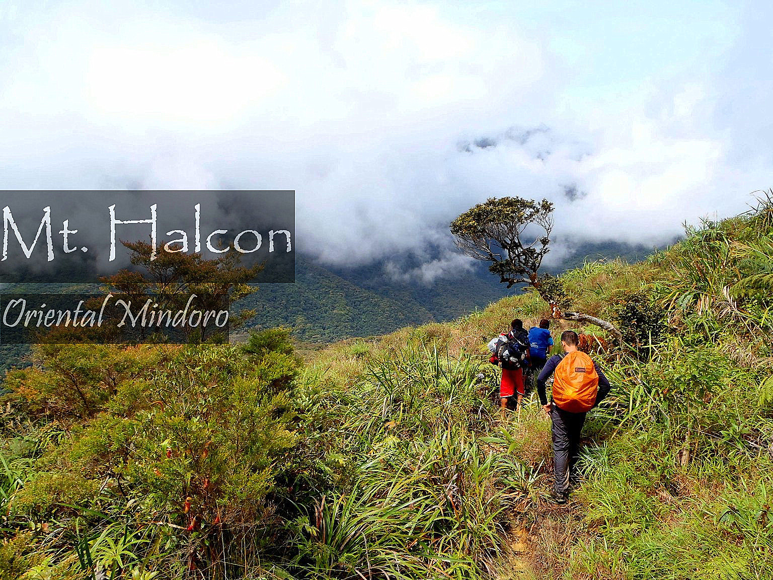SIRANG LENTE: Hiking Mt. Halcon | Oriental Mindoro