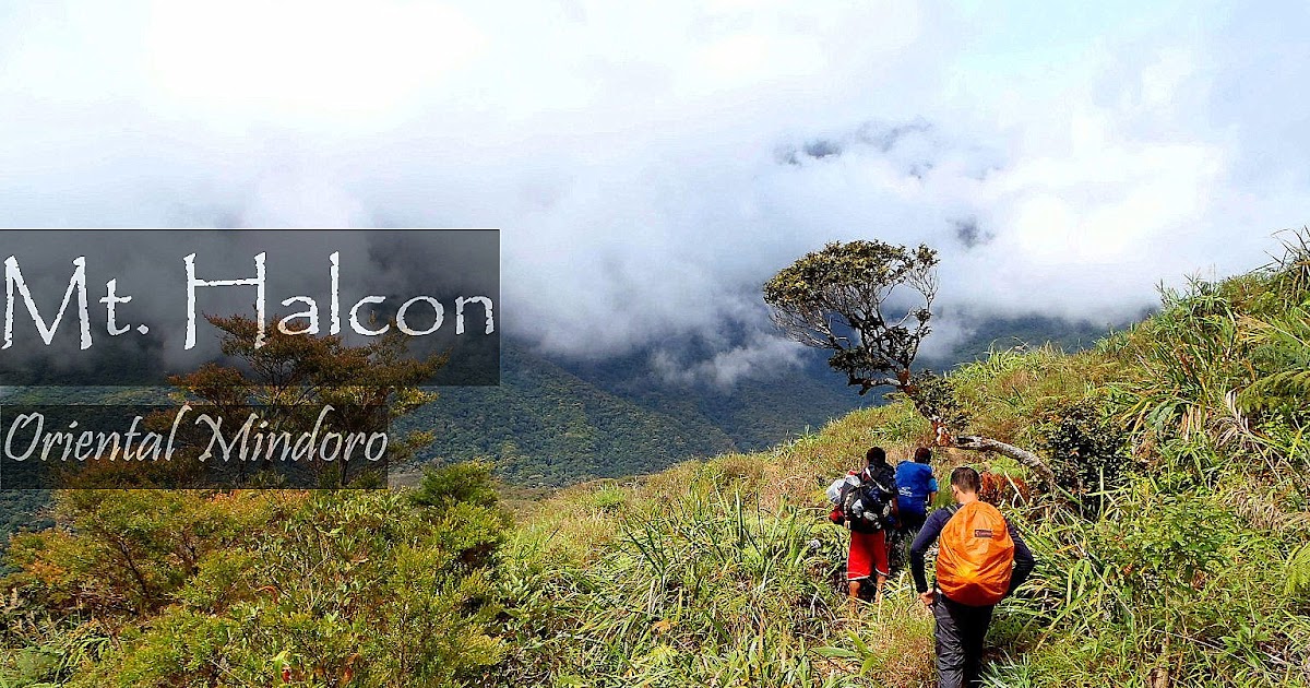 SIRANG LENTE | TRAVEL & HIKE: MT. HALCON (Hiking Guide, Itinerary, Things you need to know)