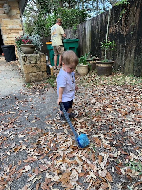 Home Ec Major: Bring Back Normal