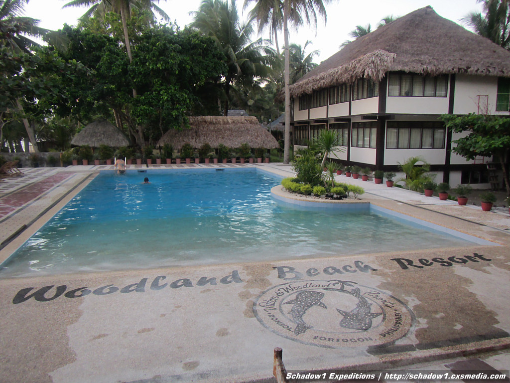 Swimming with the Whalesharks at Donsol : Schadow1 Expeditions | A ...