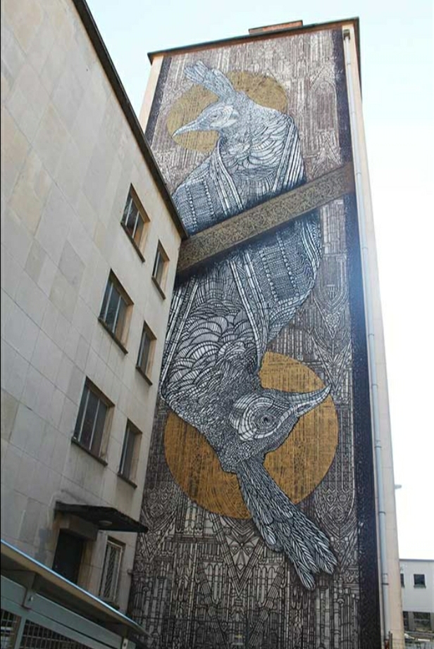 GRÁFICA URBANA - Monkey Bird Crew