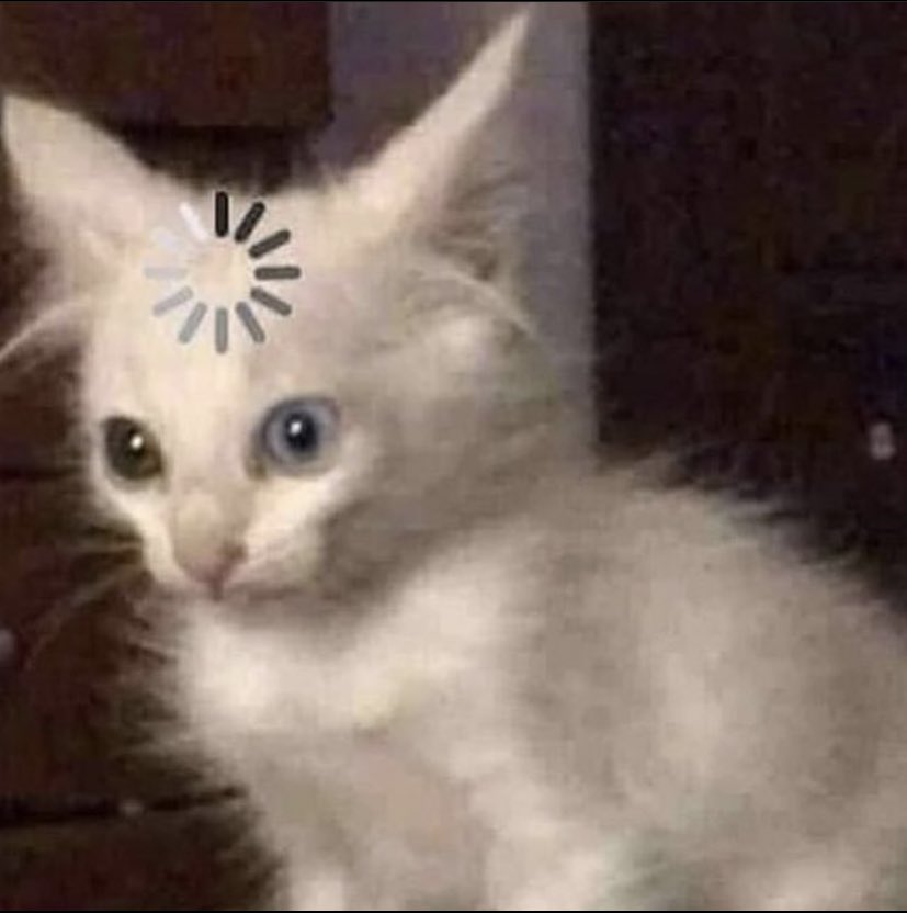 True Book Addict...Books, Cats, and More: Cat Thursday - You have ...