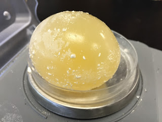 Ananya's Biology Blog: Egg Diffusion Lab