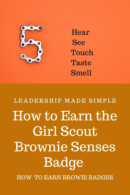 How to Earn Brownie Badges: How to Earn the Girl Scout Brownie Senses ...