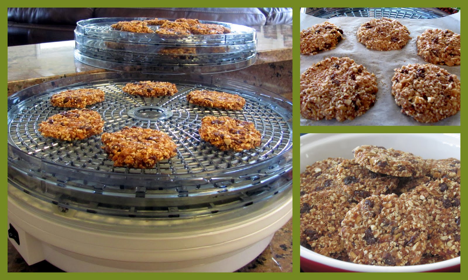 The Health Seekers Kitchen: Dried Apple-Cinnamon Cookies