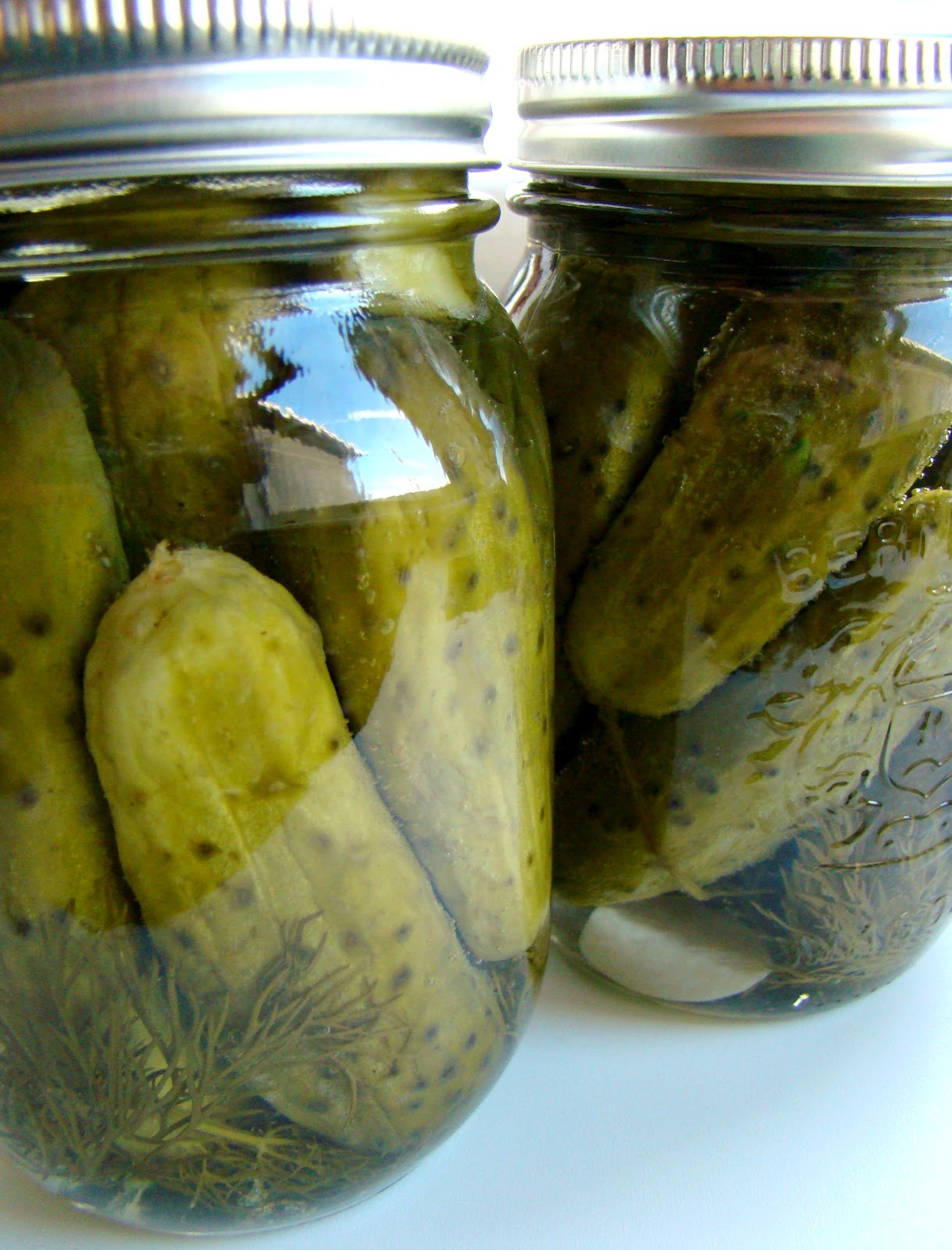 Garlic dill pickles