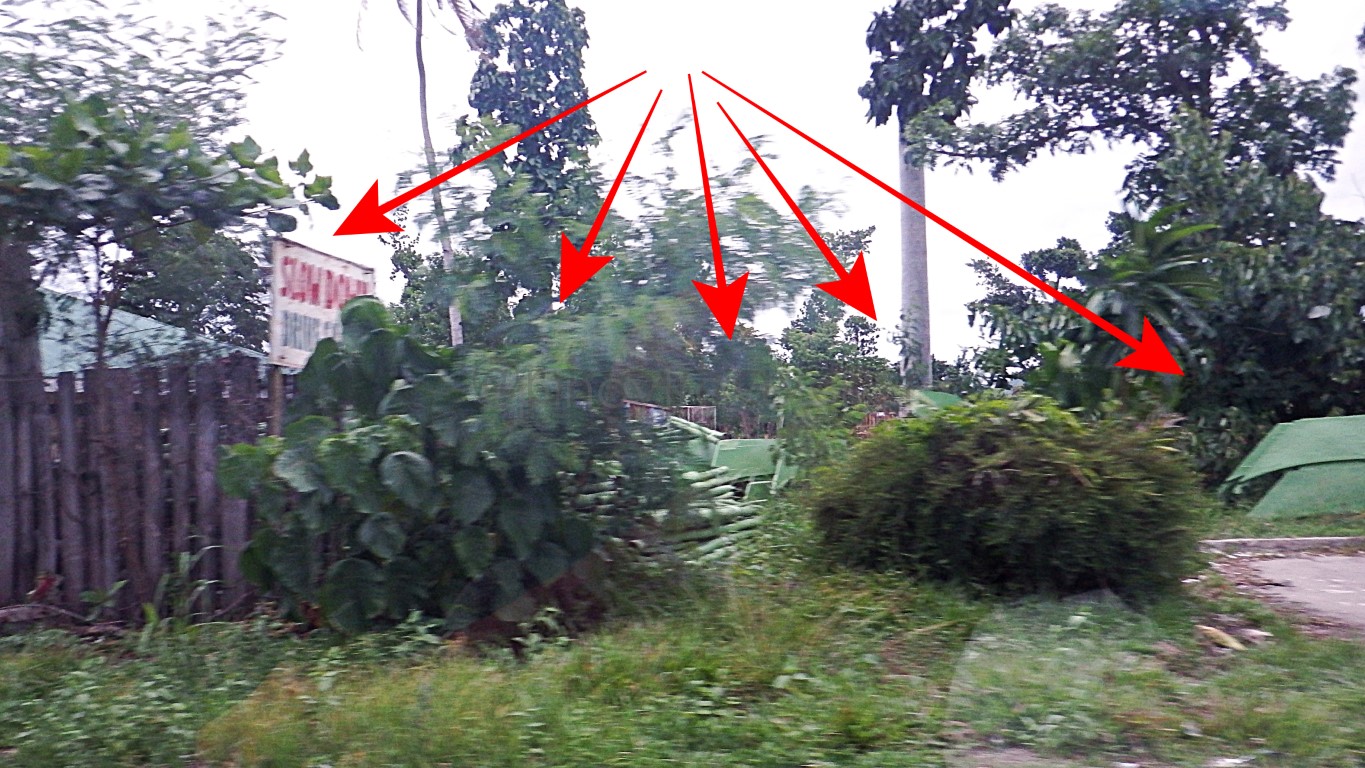 Boats for Yolanda Victims