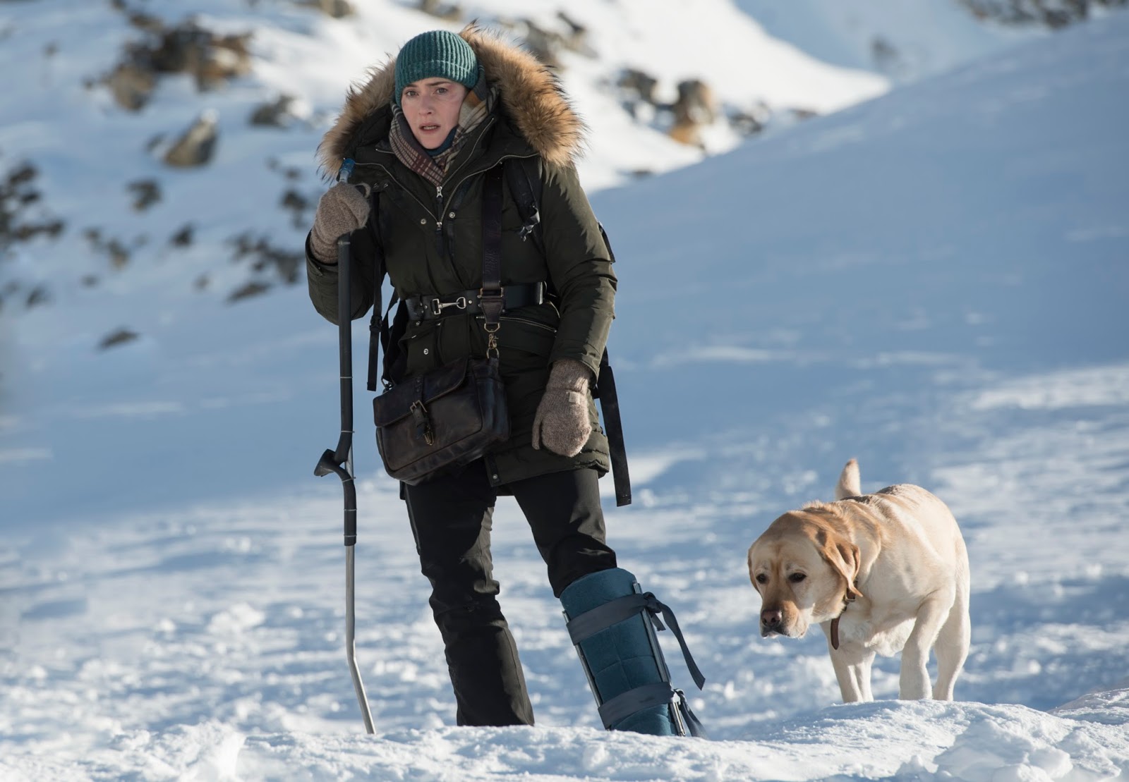 At Darren's World of Entertainment: The Mountain Between Us: Film Review