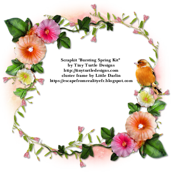 Escape From Reality Blog: FTU 'Bursting Spring' Cluster Frames TTD