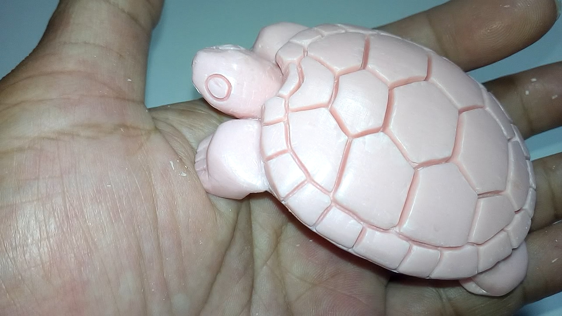 Prakarya Kreatif: Cara Membuat Ukiran Sabun Kura Kura Dengan ...