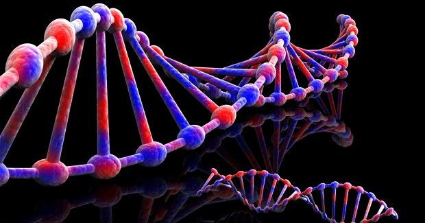 MUTACIONES GENÉTICAS: ¿QUÉ ES UN GEN?