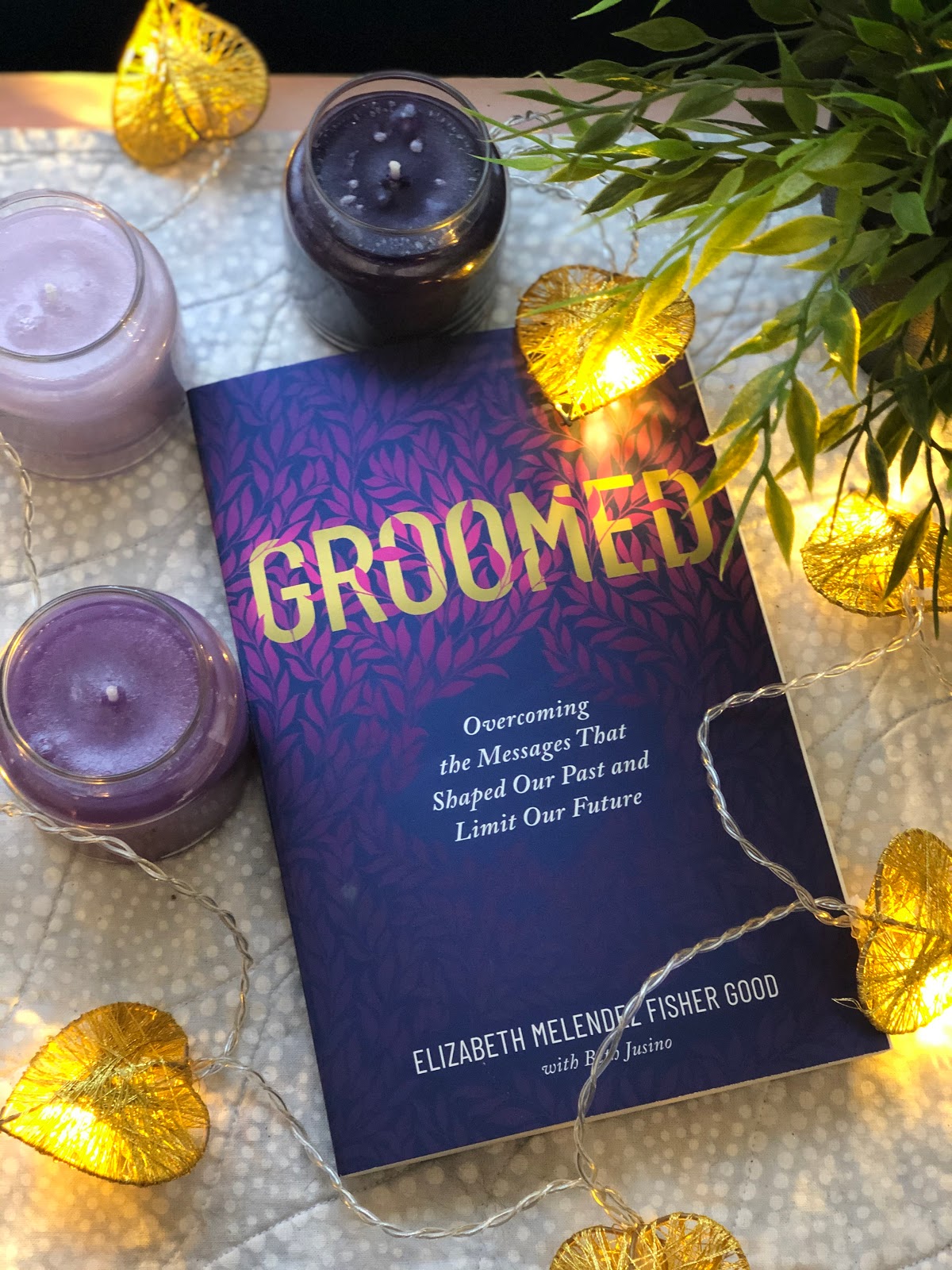 Stranded in Chaos: Book Review: Groomed (non fiction)