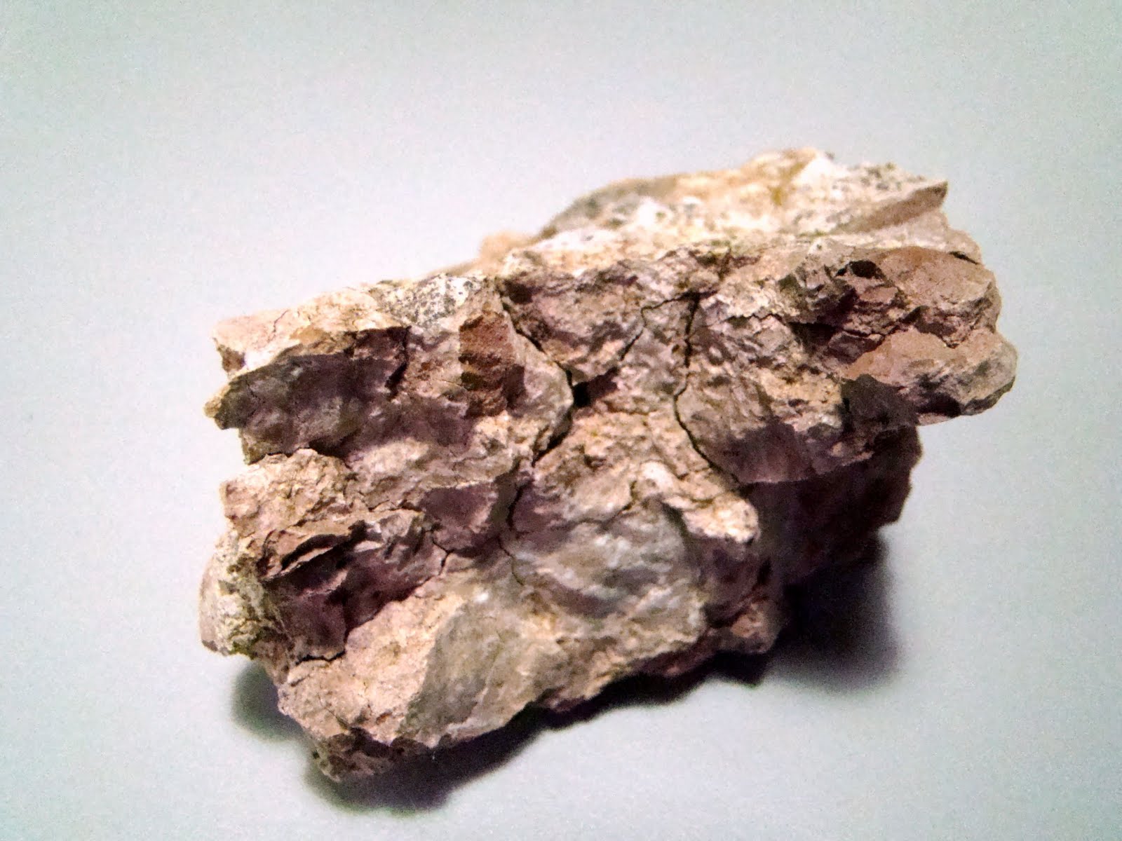 Geologia on line: ARENITO CALCÁRIO