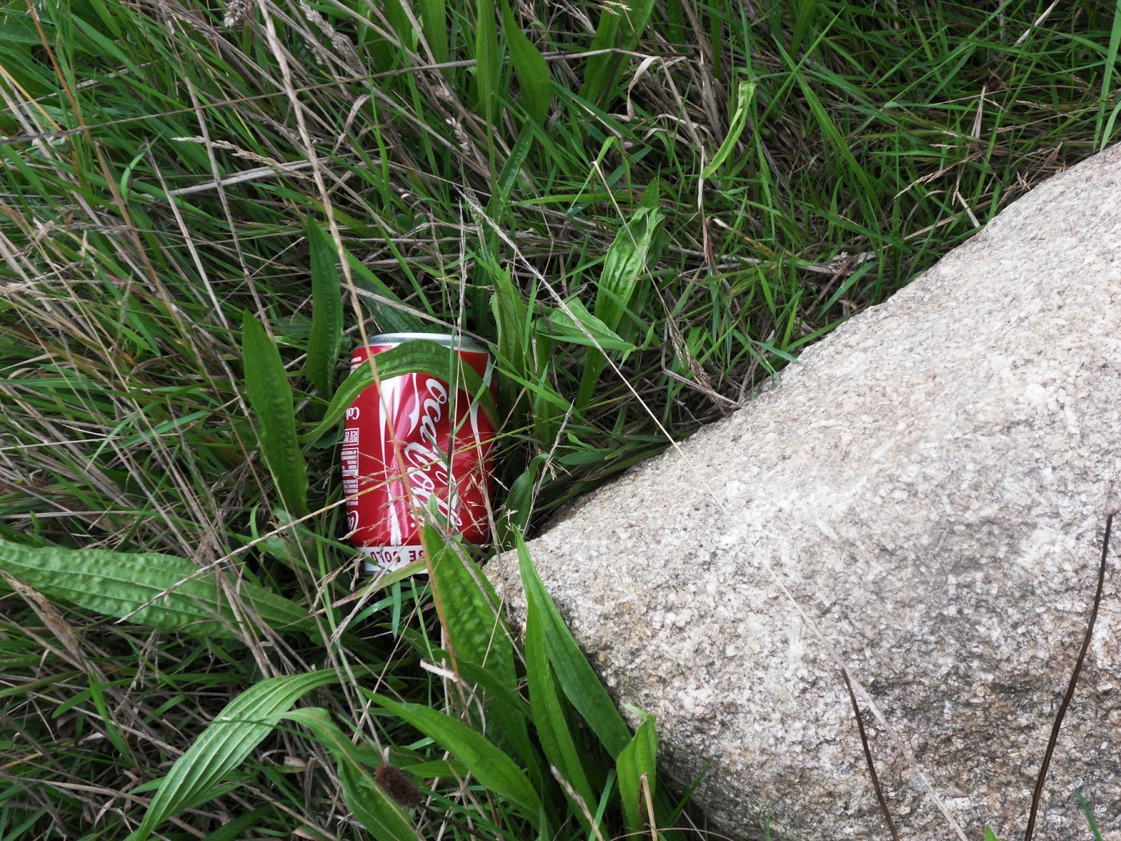 67 Not Out: Are Coca-Cola Drinkers The World's Worst Litter Louts?