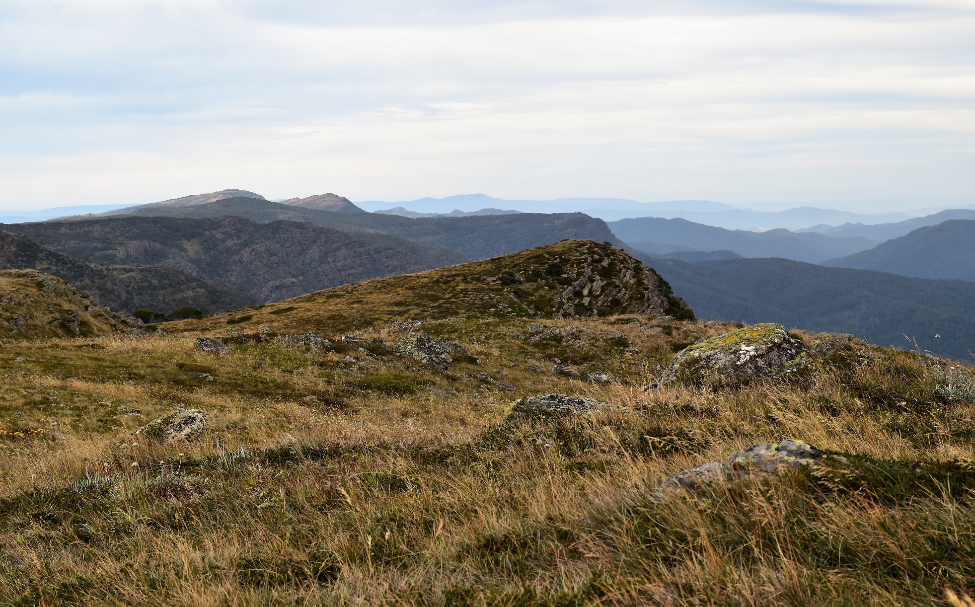 Goin' Feral One Day At A Time: Stanley Name Spur Camp to Upper Howqua ...