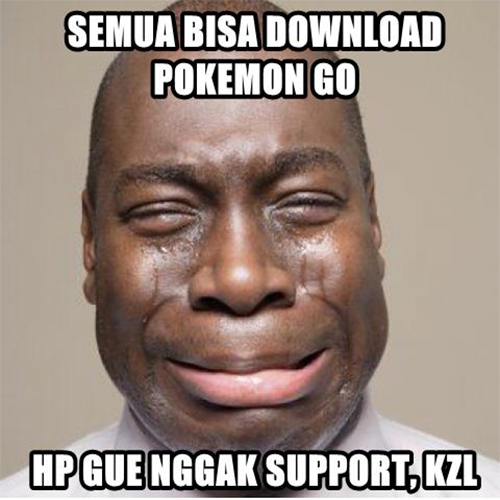 30 Gambar Meme Lucu Kocak Pokemon Go Untuk DP BBM | DP BBM lucu, unik ...