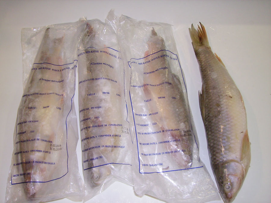 Reasons of Why Frozen Milkfish can be More Advantages than Fresh Fish ...
