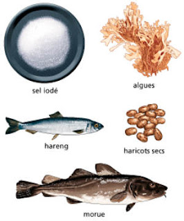 20 Alimentos ricos em iodo | Dieta Alimentar | Dietas e reeducação ...