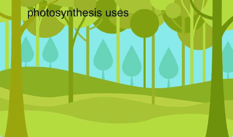 Photosynthesis GIF Blog