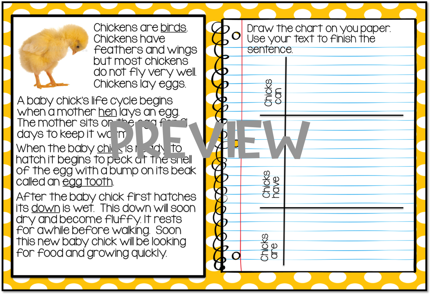 1st Grade Hip Hip Hooray!: Chicks and Bunnies ... Using informational ...