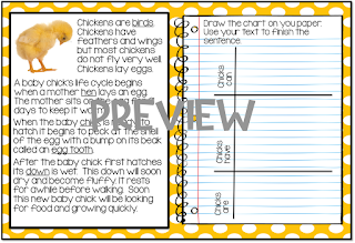 1st Grade Hip Hip Hooray!: Chicks and Bunnies ... Using informational ...