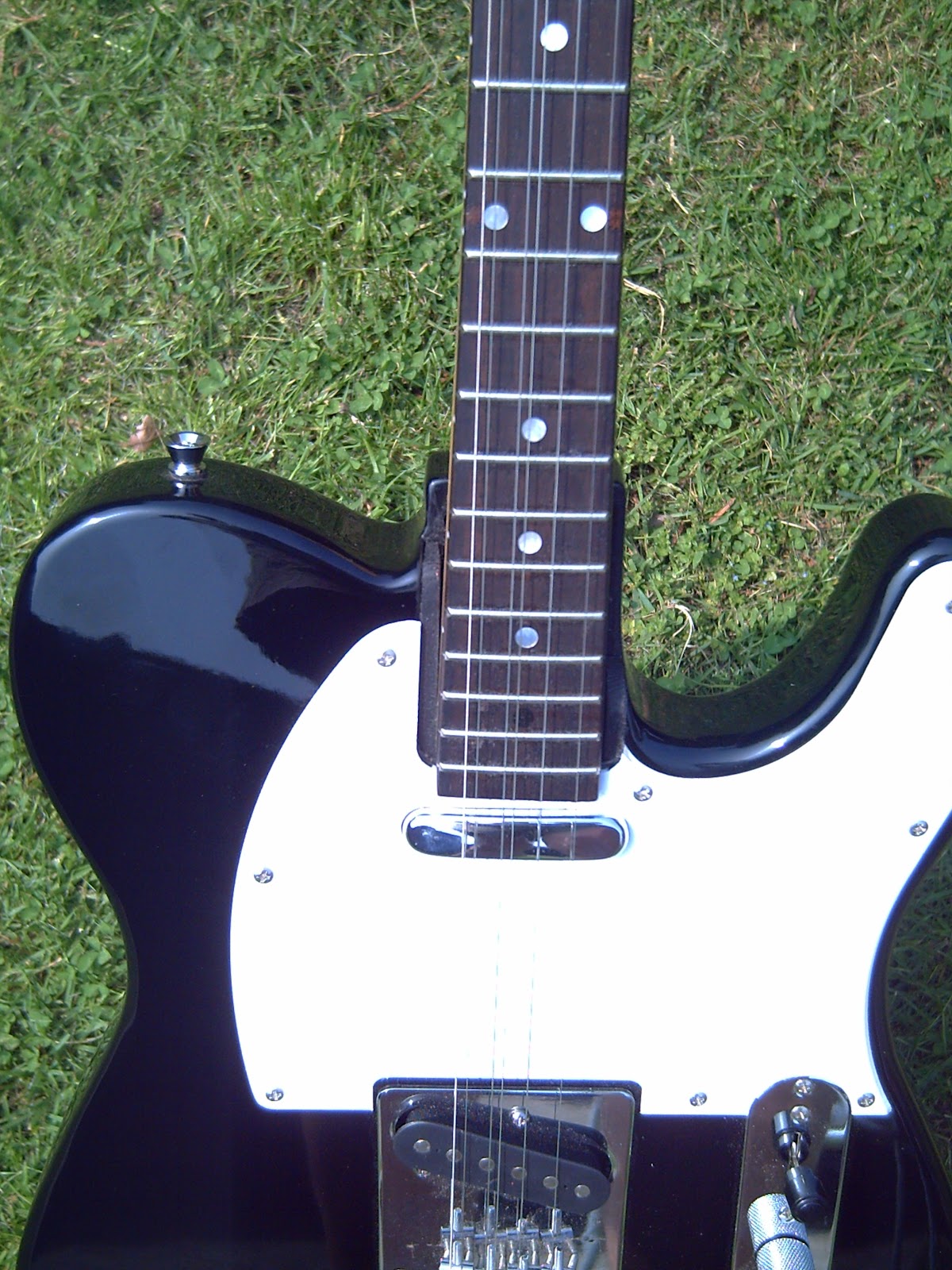 International Jazz Banjo Newsletter: The Banjoline returns!