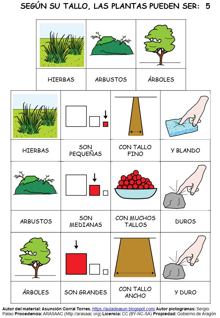 AUDICIÓN Y LENGUAJE: VOCABULARIO DE NATURALES: 2º EP Las plantas