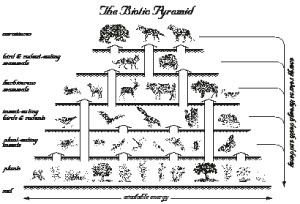 Emmalea's Colloquium Blog: Lessons from Africa for Americans!