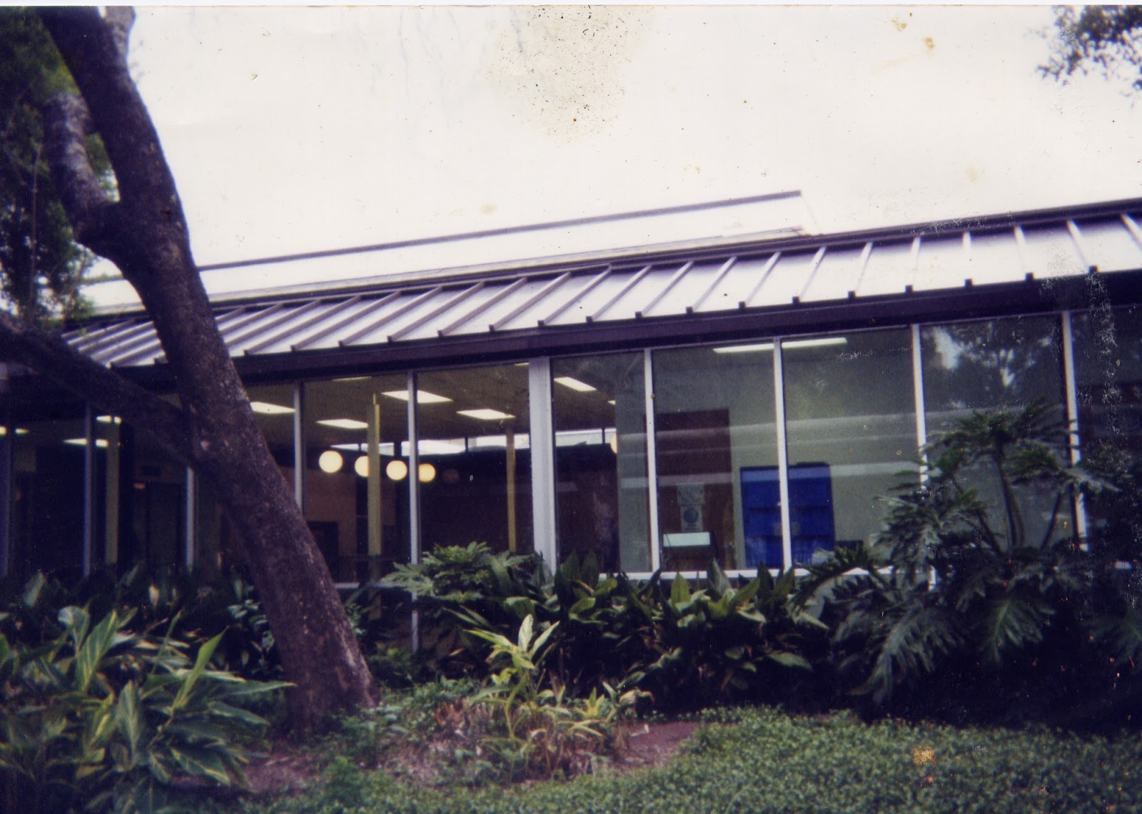 Delgado 90 Years: L is for Library: From Reading Room to Moss Memorial ...